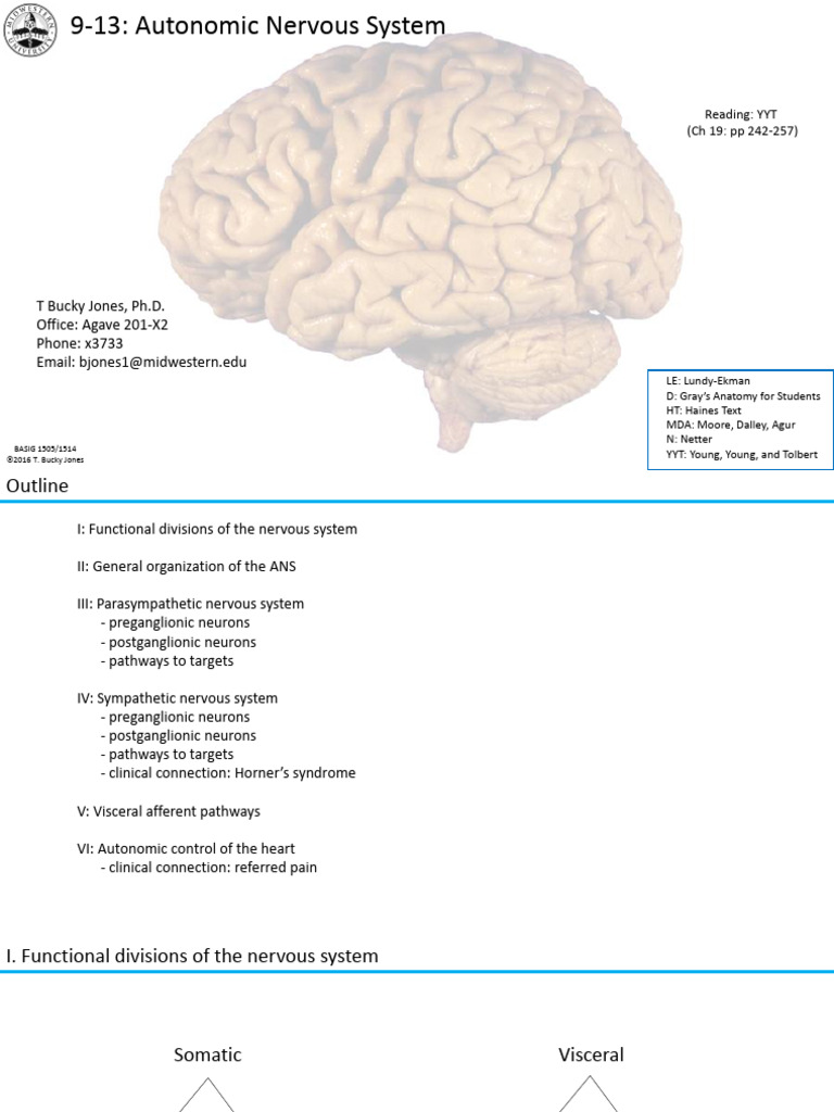 Autonomic Nervous System | PDF | Autonomic Nervous System | Nervous System