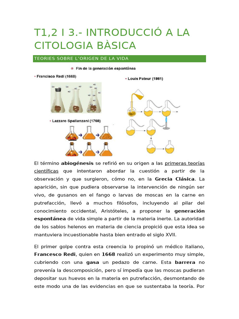 T1,2,3.-Introducció A La Citologia Bàsica | PDF | Biología Celular) | Biología