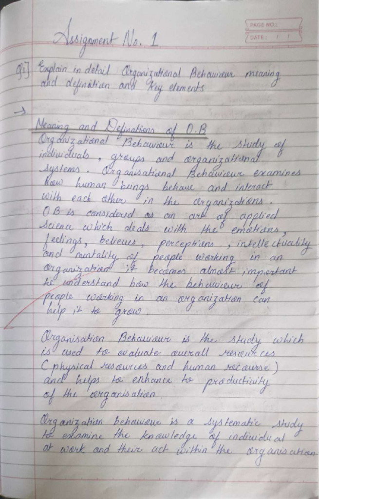 OB Assignment - Compressed | PDF