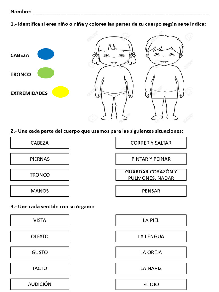 Ciencia 1ero Ibim | PDF