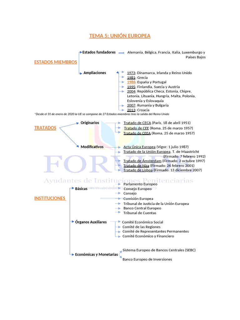 Tema 5 Funcioìn | PDF | Parlamento Europeo | Política mundial