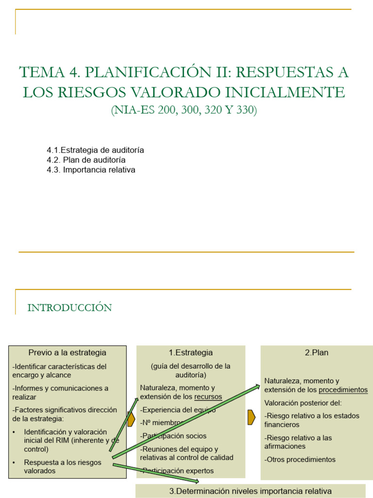 GFYC Audit Transp Tema 4 | PDF | Auditoría