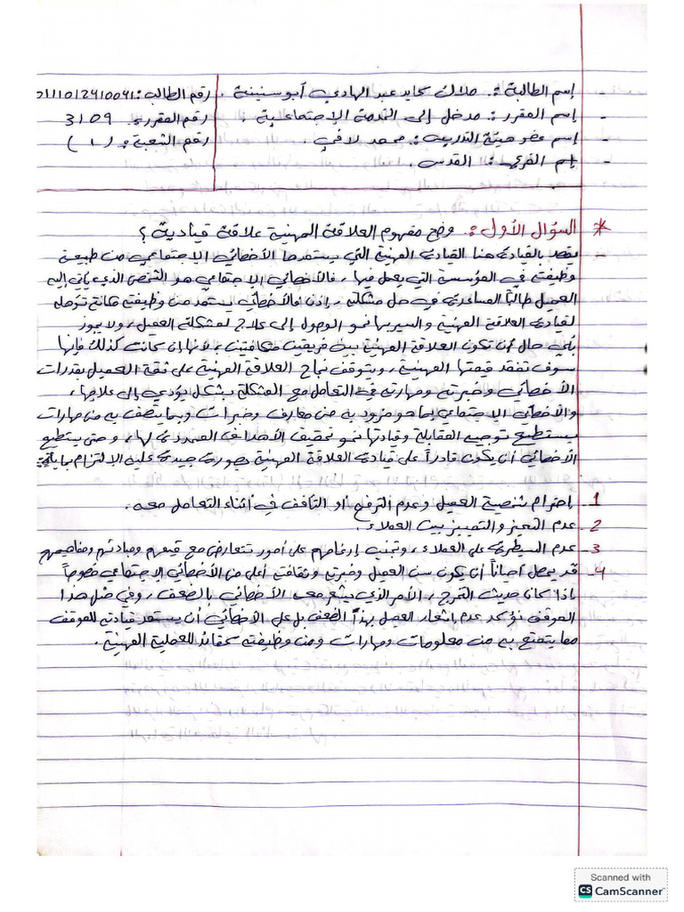 Malak Abu Sneineh | PDF