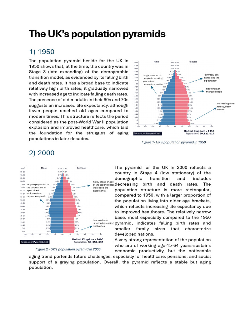 UK's Population Pyramids Analysis | PDF | Demographic Economics ...