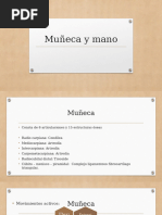 Mano en Garra: Causas y Tratamientos | PDF | Mano | Nervio