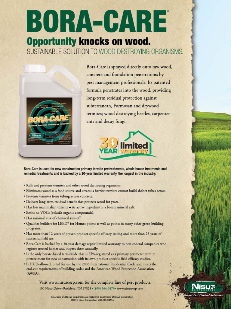 Boracare Info 1 Page | PDF