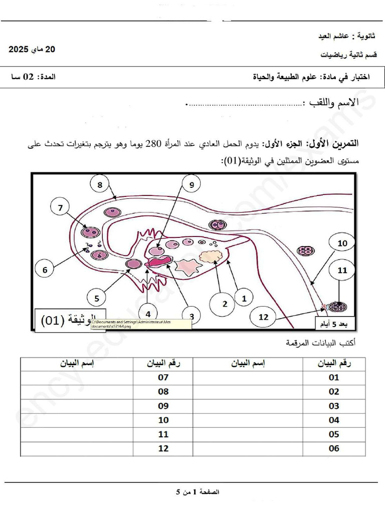 Dzexams 2as Sciences 2534033 - Page 0001 | PDF