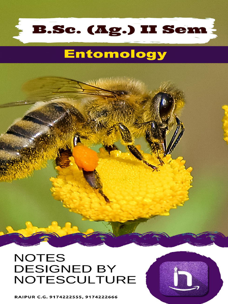 Fundamentals of Entomology II | PDF