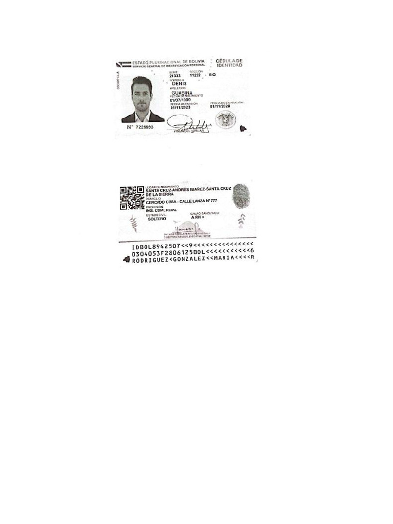 Prueba Carnet Denis | PDF