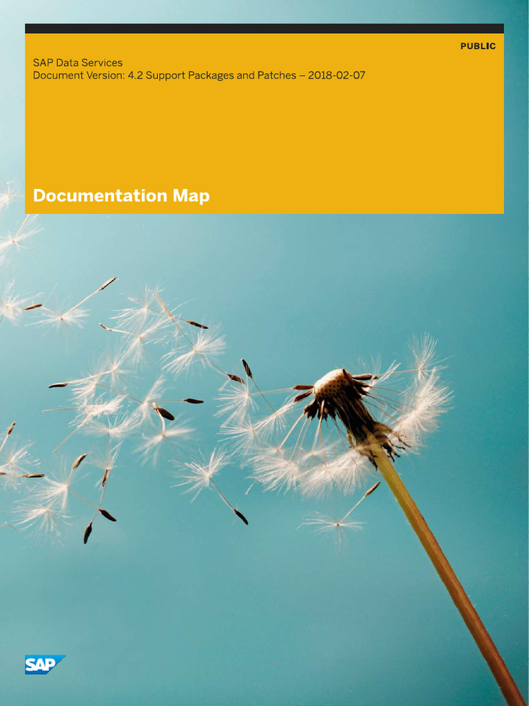 SAP Data Services Documentation MAP | PDF