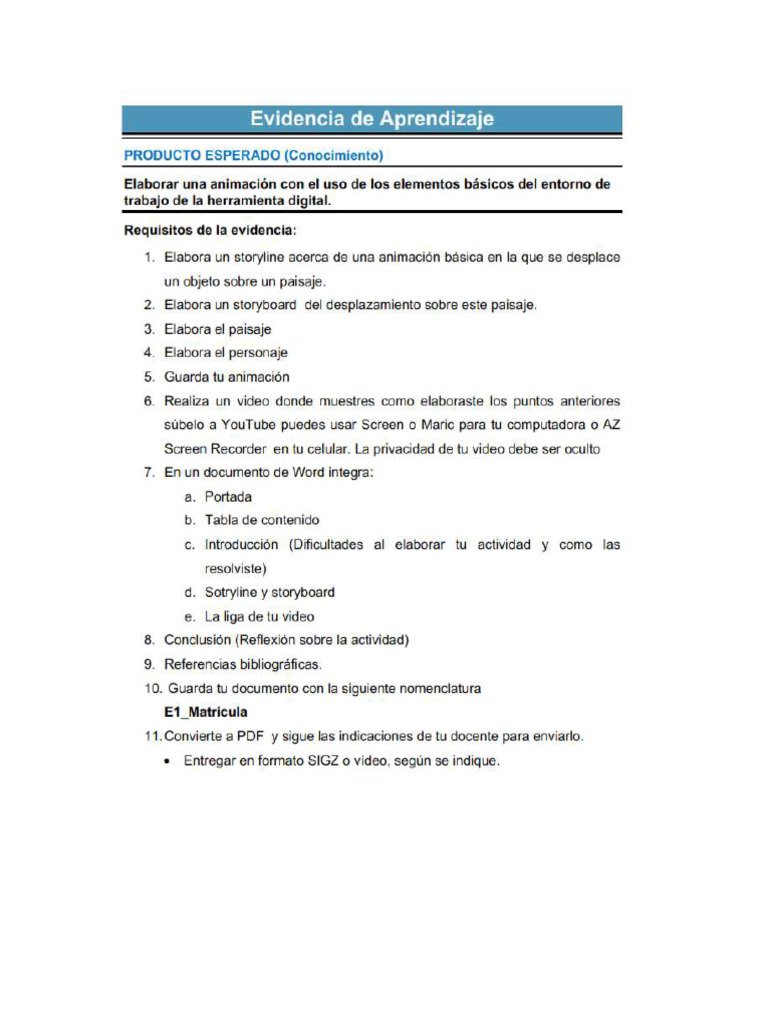 Actividad Integradora Optativa | PDF