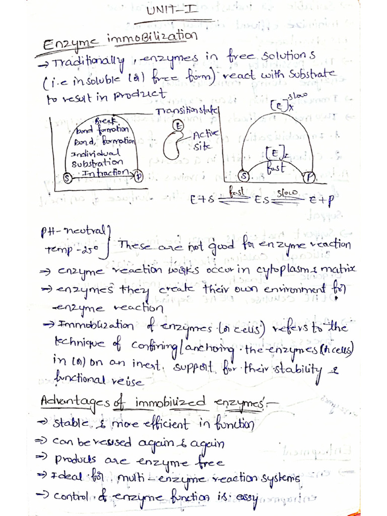 1st Unit Biotech 1 Pdf