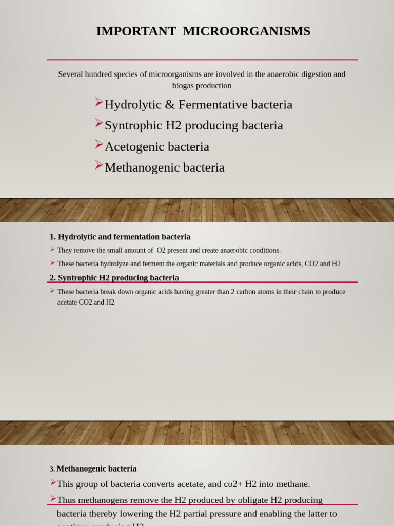 Microorganisms | PDF