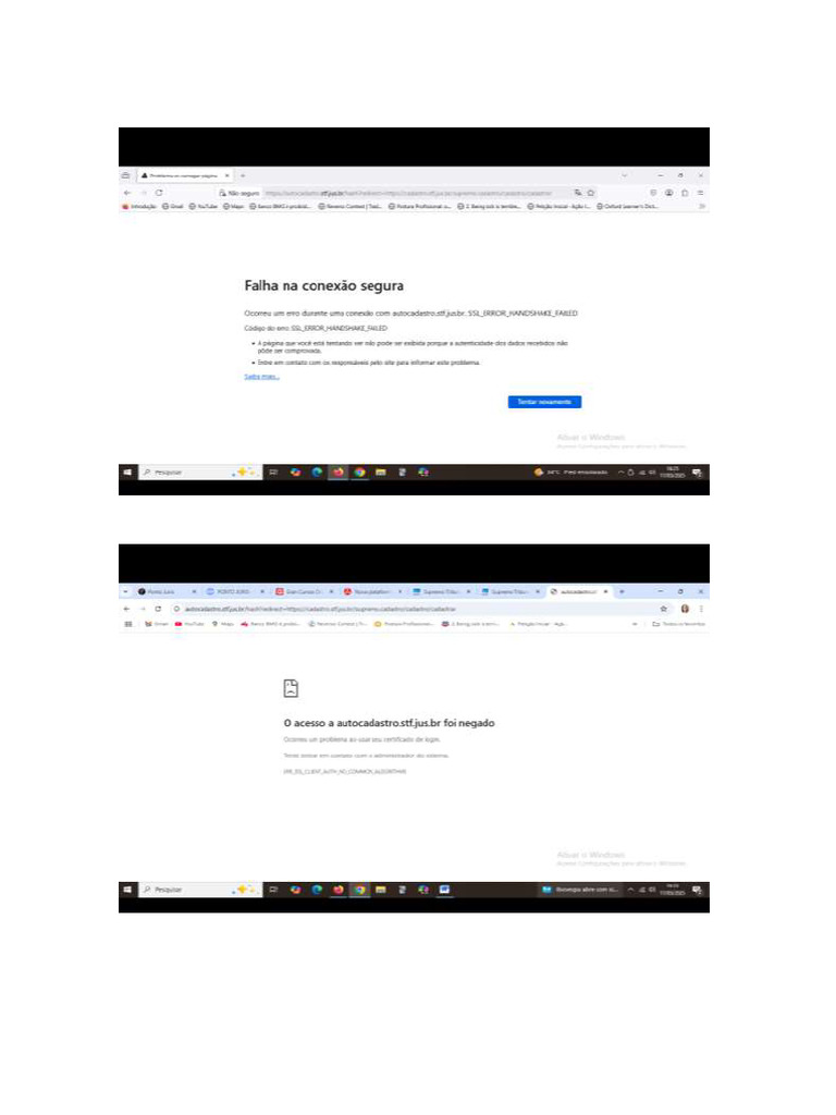 PRINTS ACESSO AO SISTEMA STF | PDF
