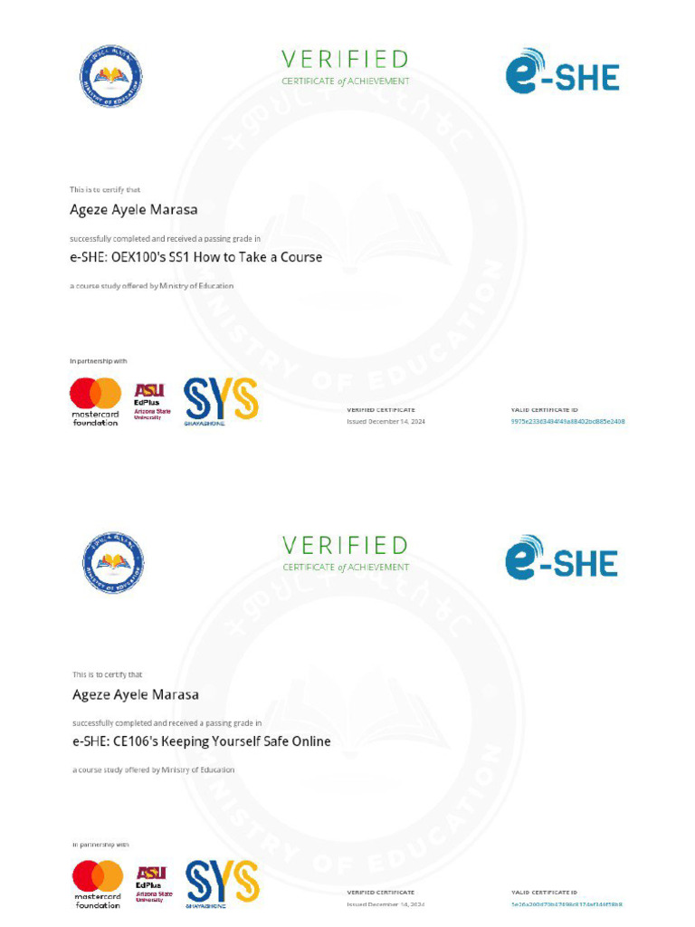 Ageze Ayele Section 20 SSS Certificate | PDF