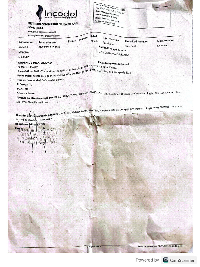 Incapacidad Yanet | PDF