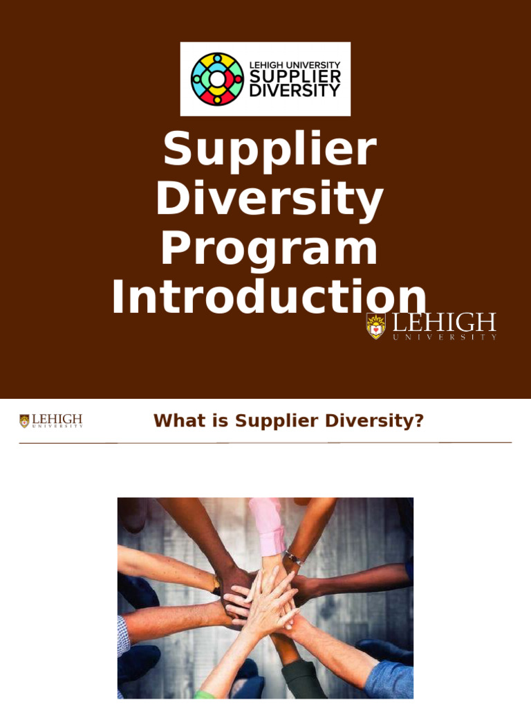 LU Supplier Diversity Internal Presentation Version 1 | PDF | Supply ...