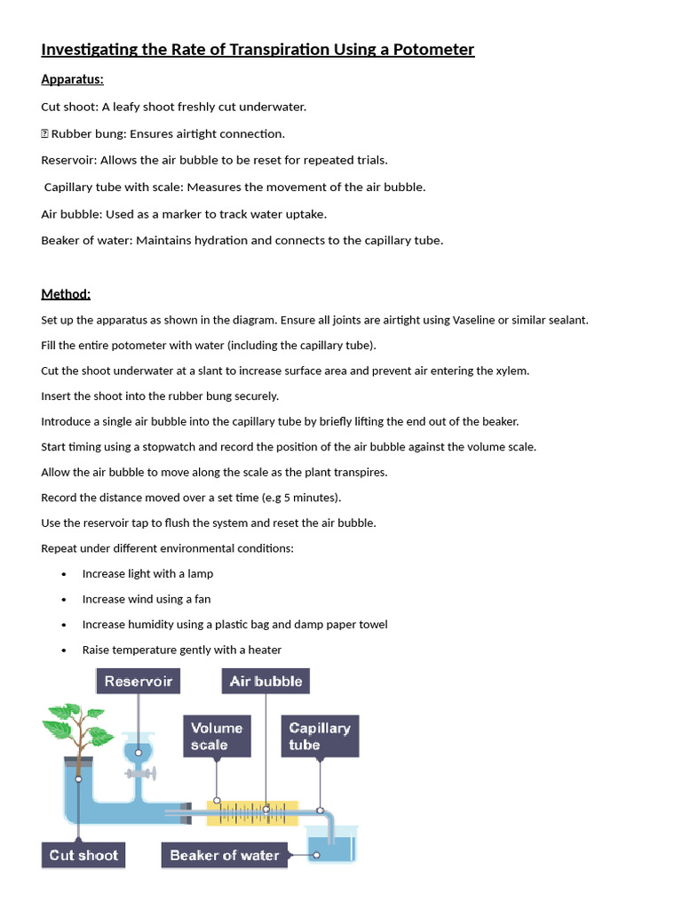 Investigating The Rate of Transpiration Using A Potometer | PDF