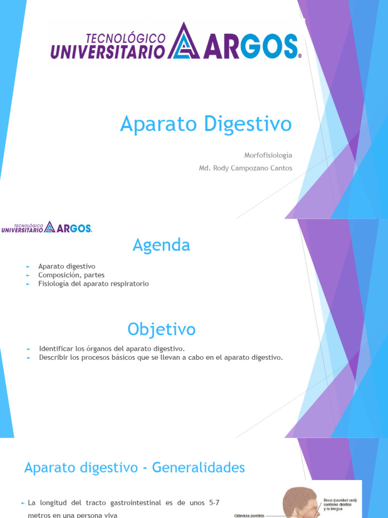 Aparato Digestivo - Anatom-A y Fisiolog-A | PDF | Digestión | Sistema digestivo humano