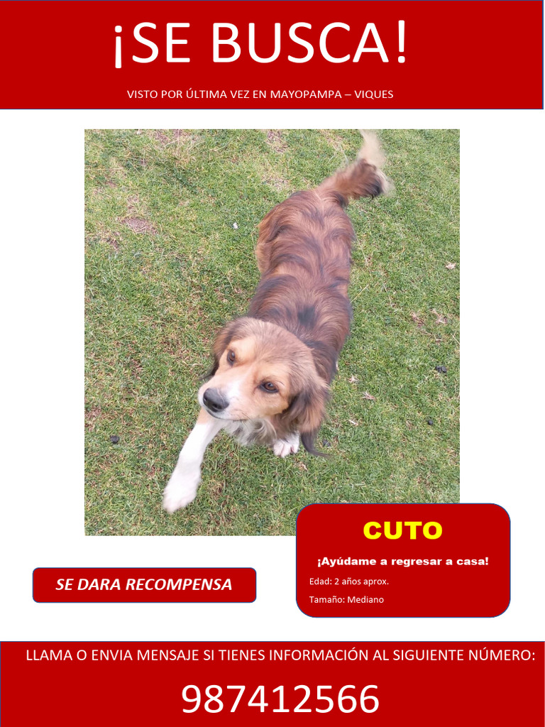 CUTO | PDF