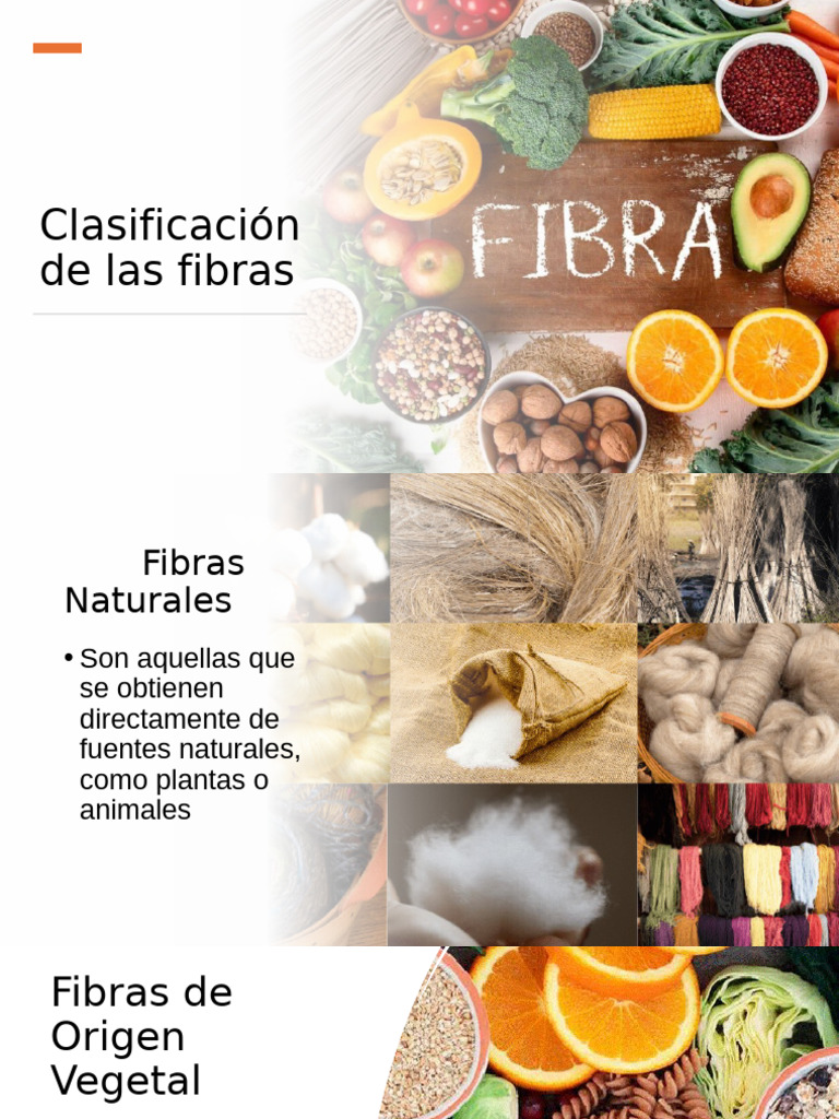 Clasificación de Las Fibras | PDF
