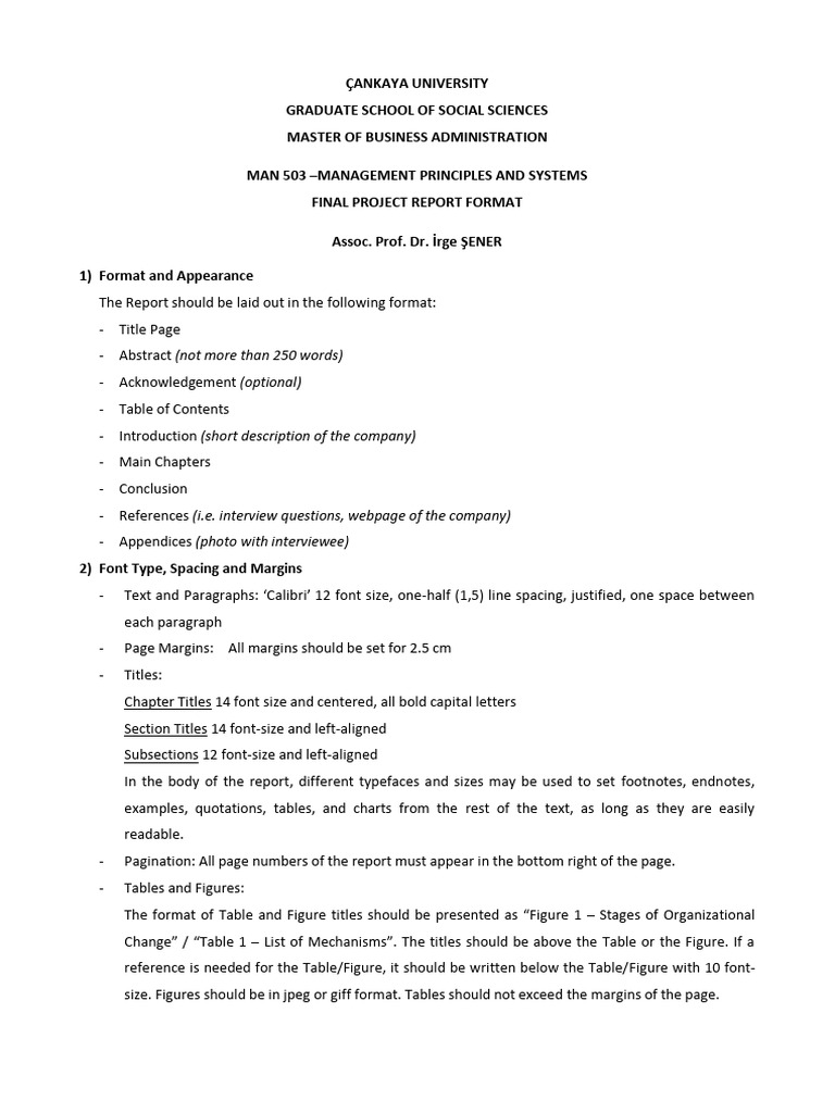 MAN 503 Project Report Guidelines | PDF