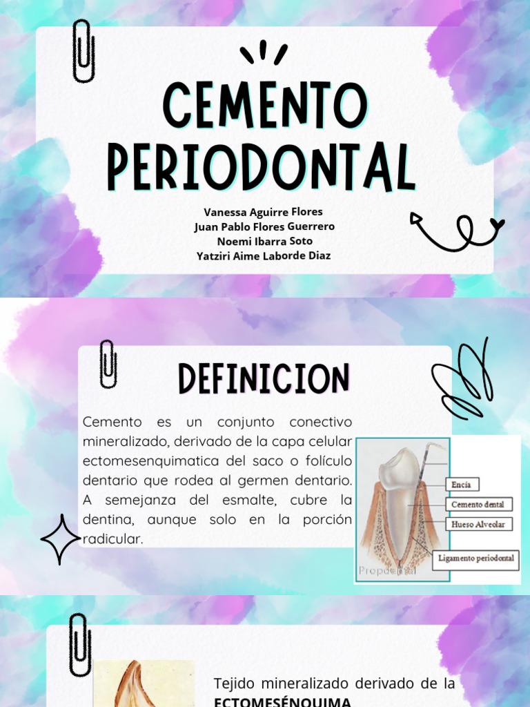 Cemento Periodontal | PDF | Anatomía | Anatomia dental