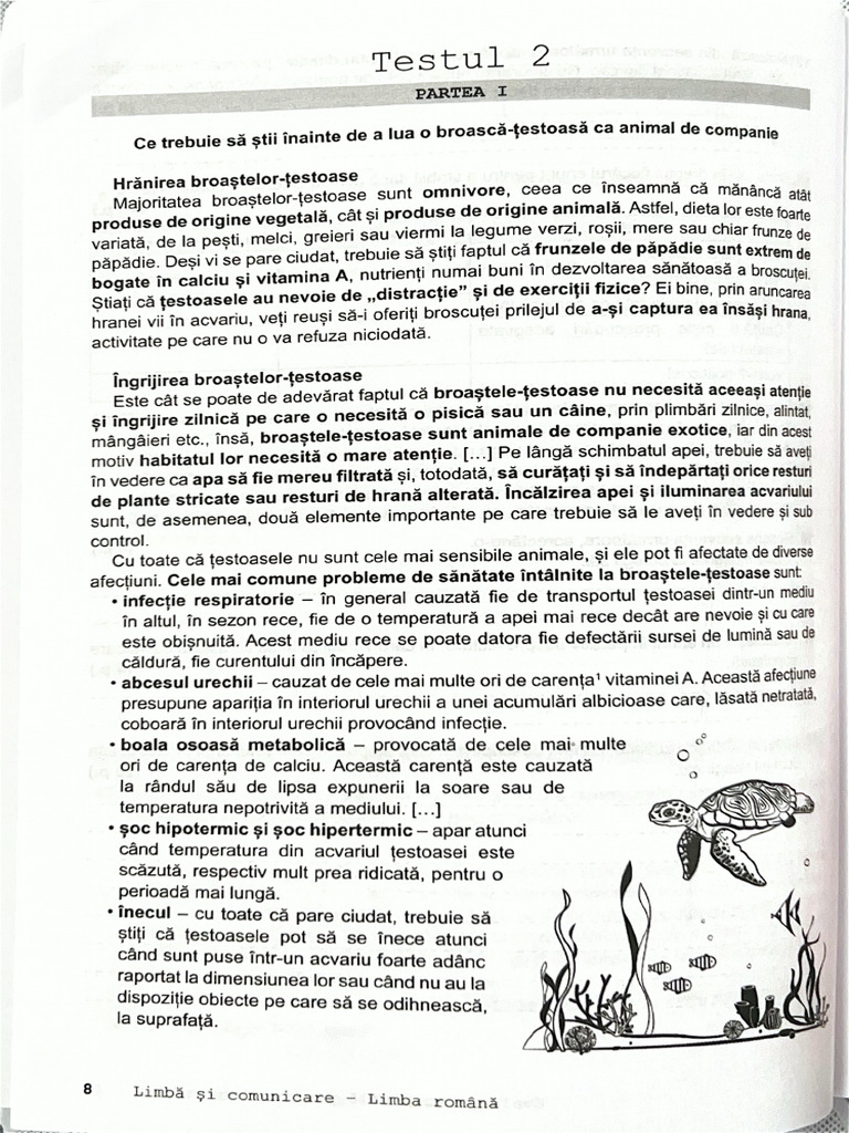 Tema Rom? ???????? | PDF