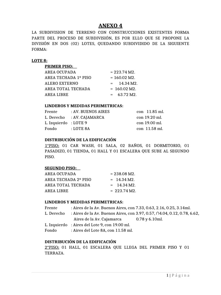 Memoria-Anexo N°4-Patri | PDF