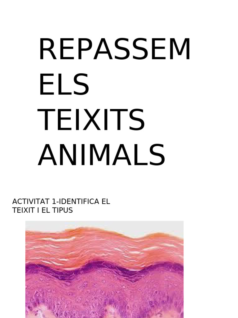 Repassem Teixits Animals | PDF