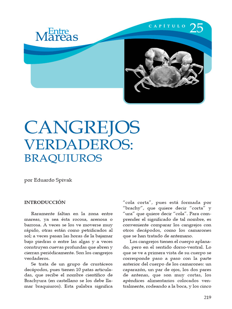 Morfología y Hábitos de Cangrejos Verdaderos | PDF | Cangrejo