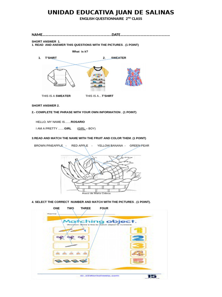 Questionnaire Second STS - Ii Trim. | PDF