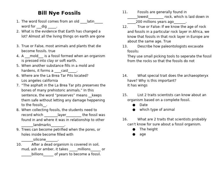 Ws - Bill - Nye - Fossils | PDF