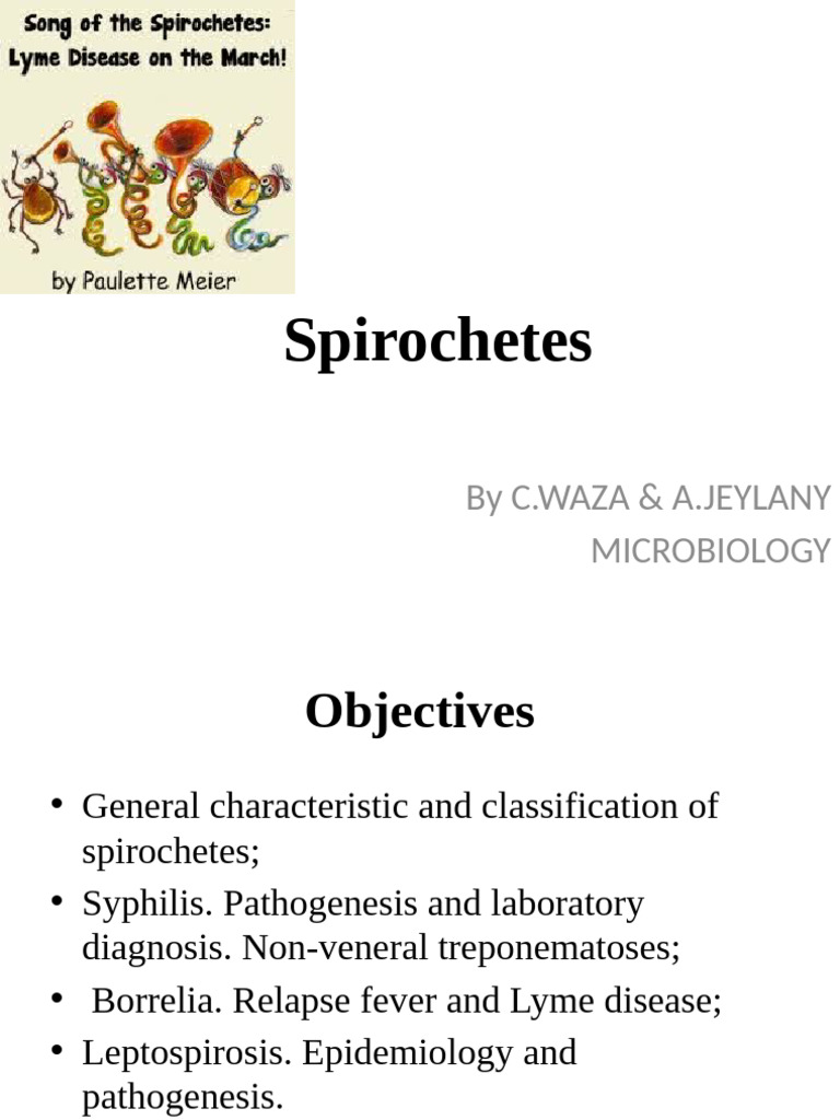SPIROCHETES Waza & Jeylany New | PDF | Lyme Disease | Antibody