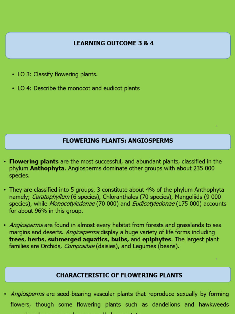 Lecture 3. Flowering Plants. | PDF | Leaf | Flowers