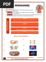 Miotomas - Definición y Pruebas - Kenhub | PDF | Codo | Neuroanatomía