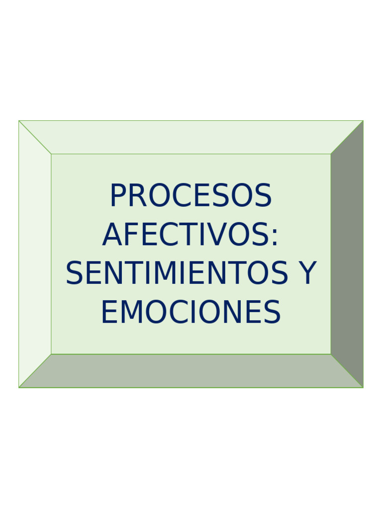 Procesos Afectivos | PDF