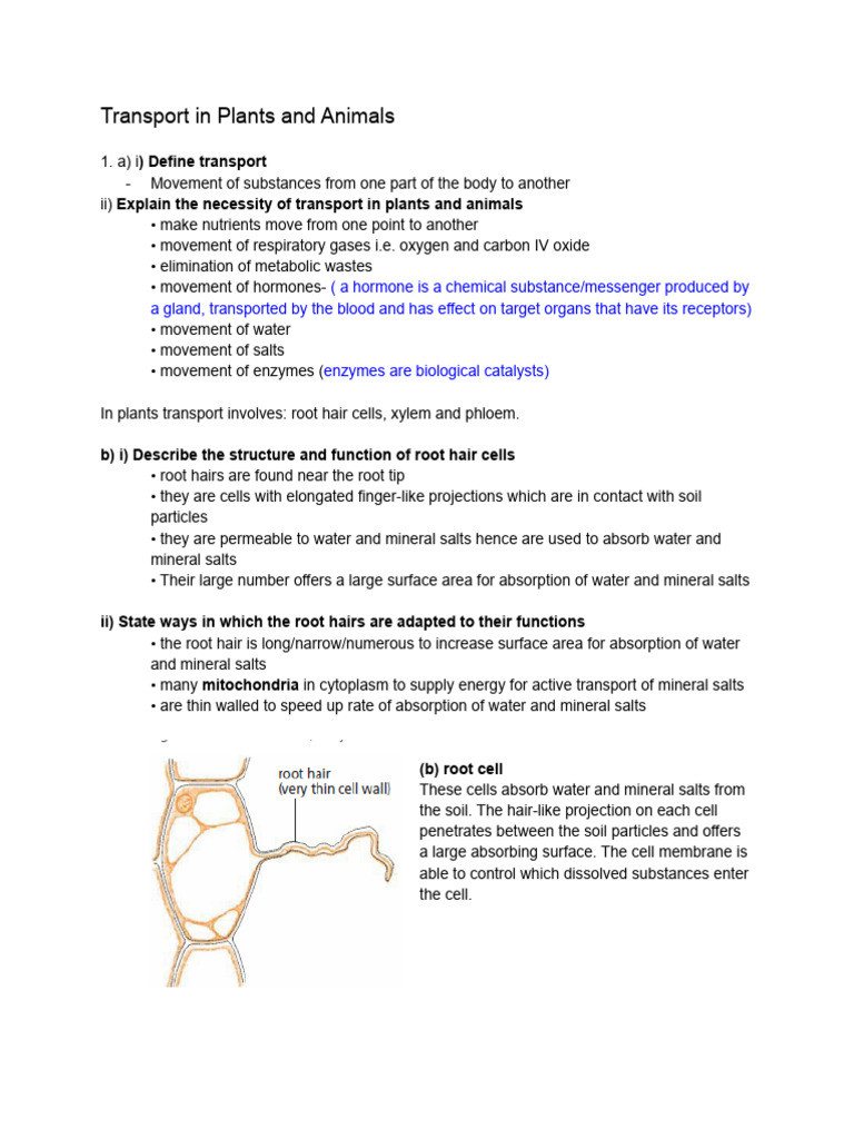 ALLAN - Transport in Plants and Animals | PDF | Root | Osmosis