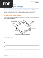 A-Level Biology Scenario Questions | PDF | Tissue (Biology) | Heart