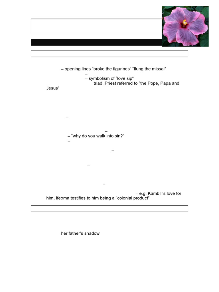 Revision Notes For Purple Hibiscus | PDF