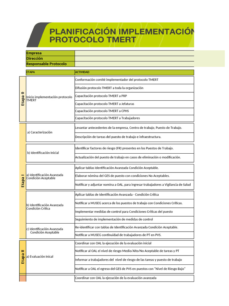 Planificacion Protocolo Tmert v2 | PDF