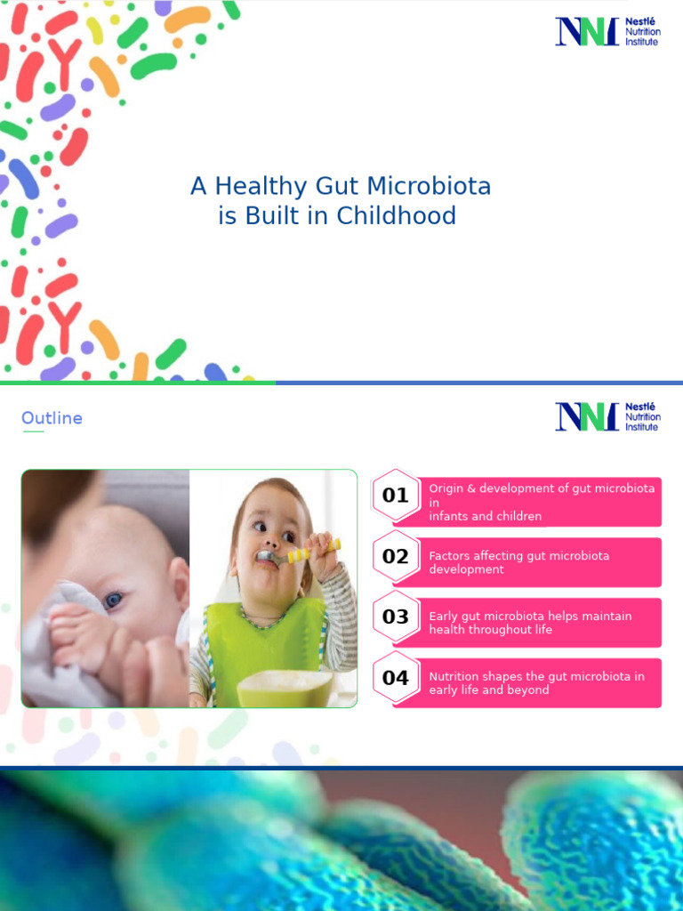 A Healthy Gut Microbiota - Ver2 - Reduced | PDF | Immune System | Probiotic