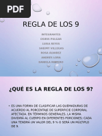 Regla de Wallace | PDF | Anatomía humana | Anatomía de los primates