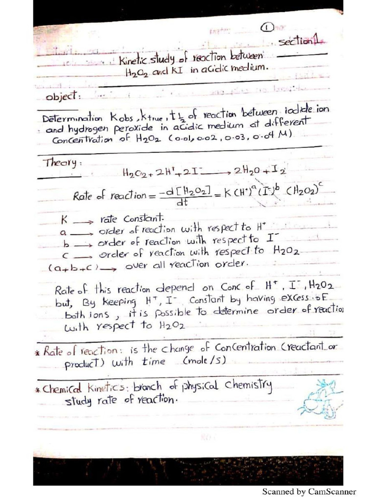 Physical Practical | PDF