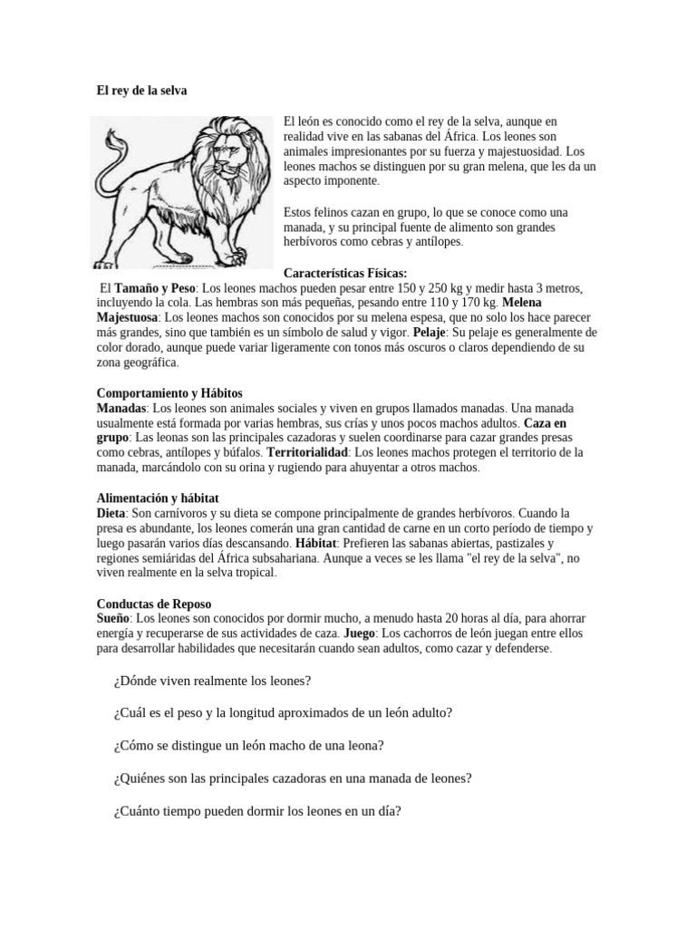 Comprensión Lectora El León | PDF | León | Zoología