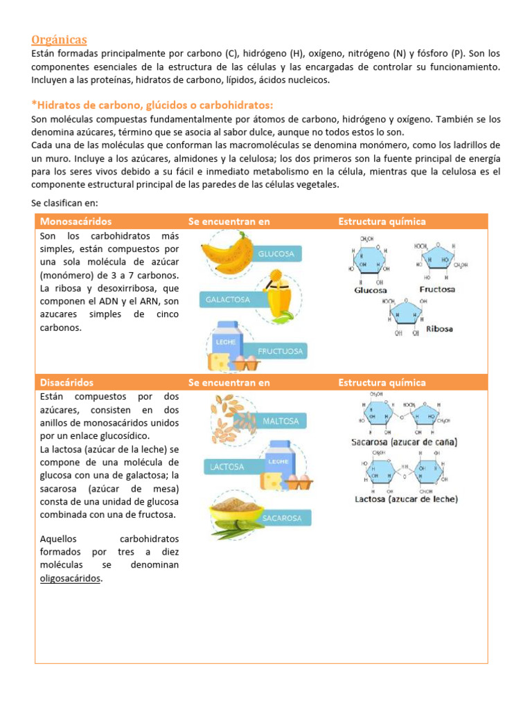 Biomol-Culas Organicas | PDF | Carbohidratos | Lípido