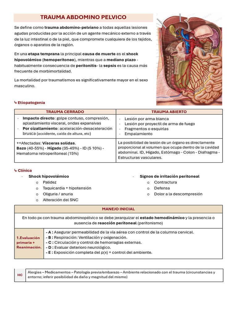 Trauma Abdomino-Pélvico: Causas y Manejo | PDF | Abdomen | Tórax
