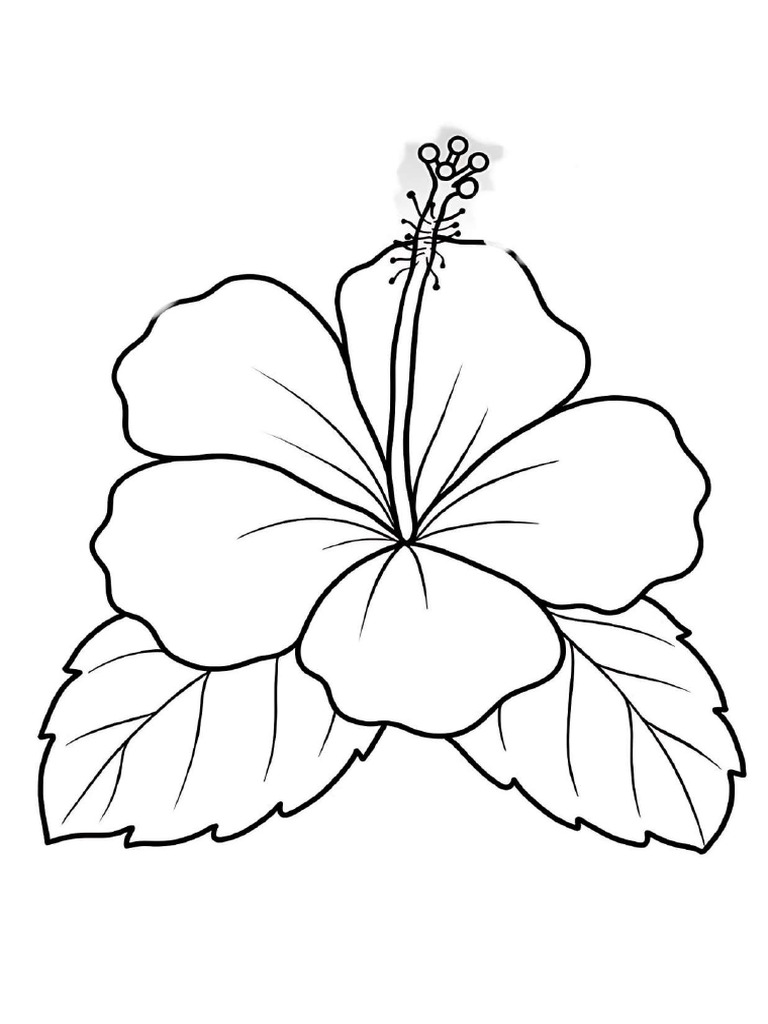 Template Bunga | PDF