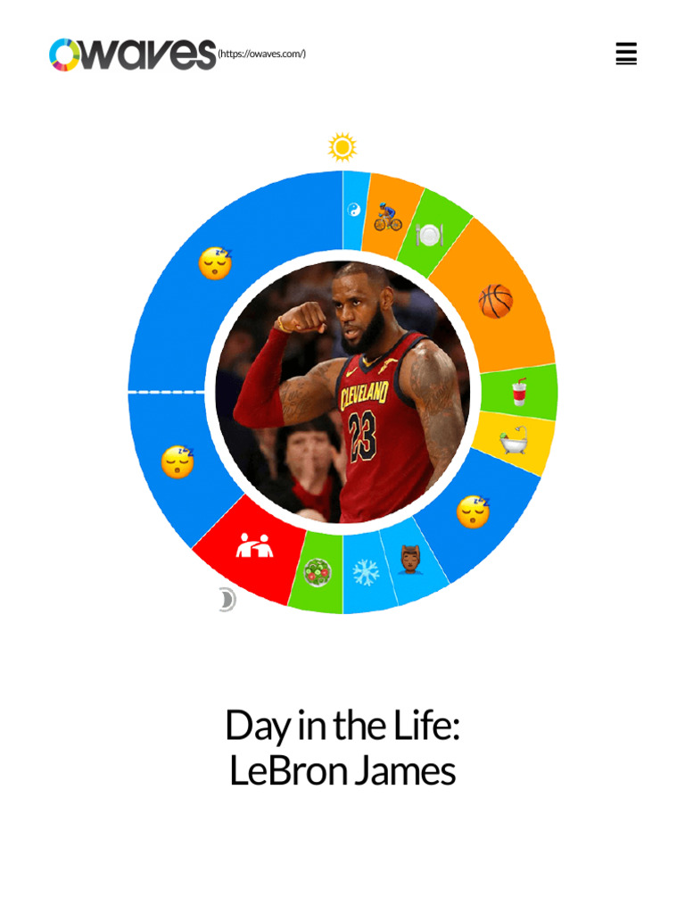 Owaves Day in the Life LeBron James | PDF