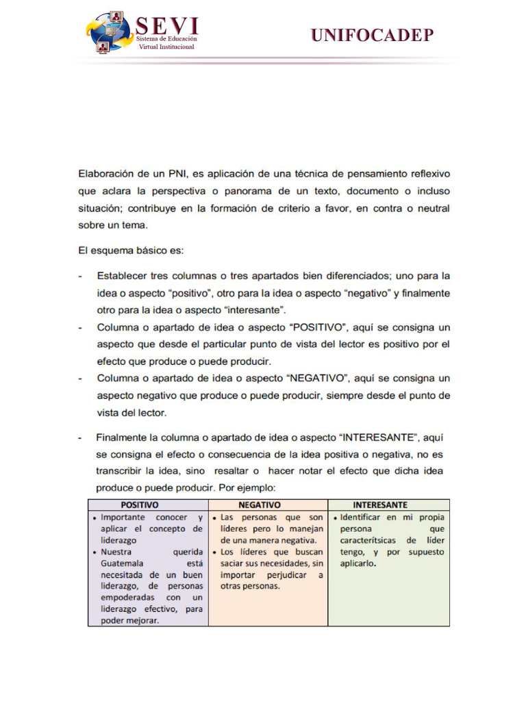 Como Hacer Un PNI | PDF